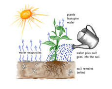 Water - greeneducation4all.com