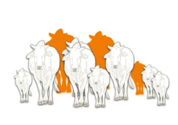 Creative Commons Gallery - greeneducation4all.com