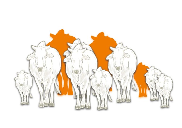 Creative Commons Gallery - greeneducation4all.com